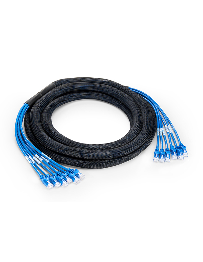 Cat6 Plug to Plug UTP PVC CMR Pre-Terminated Copper Trunk Cable, 3m ...